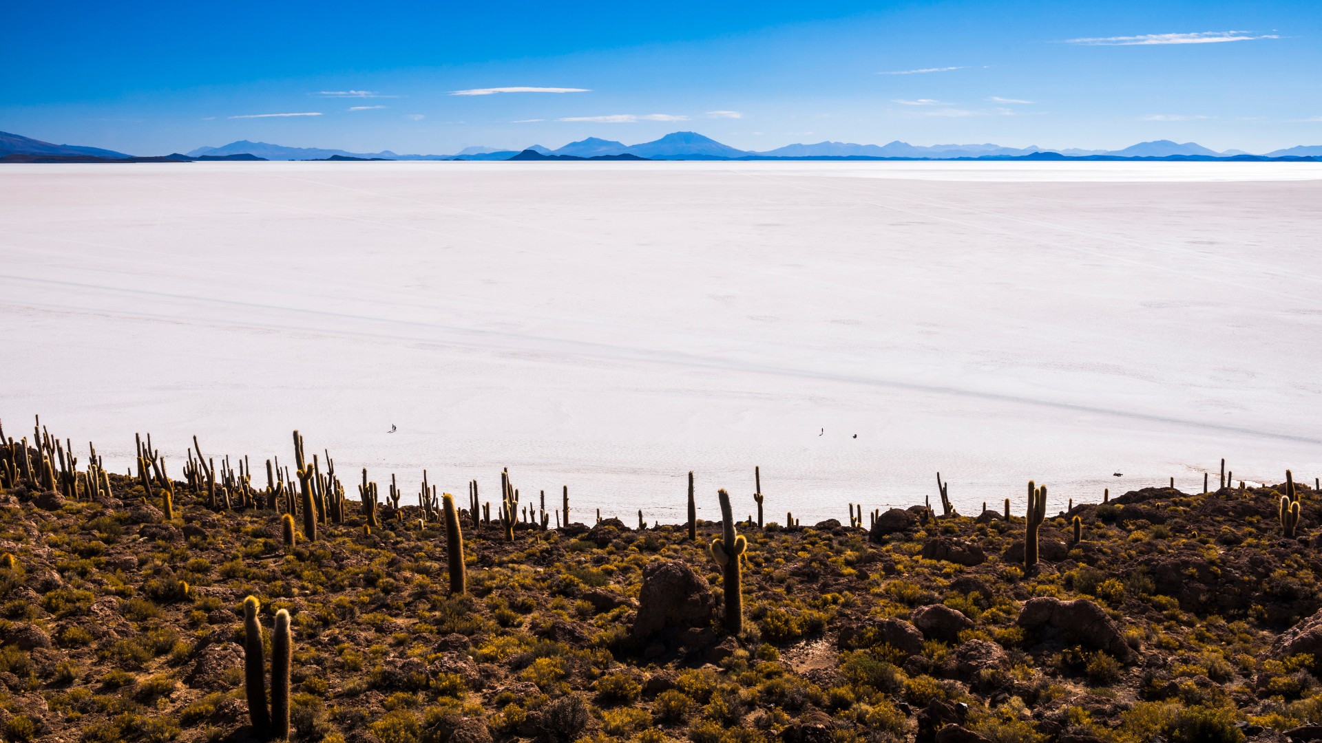 SALAR DE UYUNI - 2 DIAS 1 NOCHE | Alisur Travel